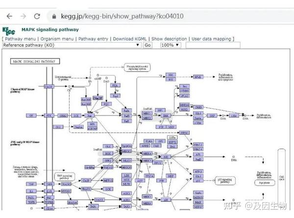 KEGG数据库最全介绍，一起来看看吧 - 知乎