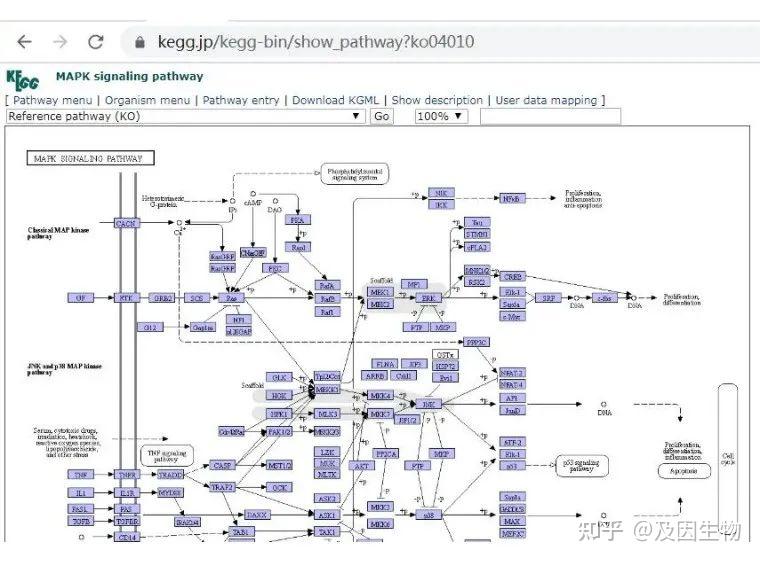 KEGG数据库最全介绍，一起来看看吧 - 知乎