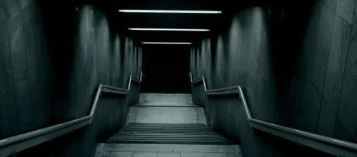 Phobia | 常见的、罕见的、奇奇怪怪的恐惧症 - 知乎