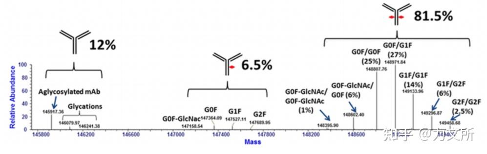 干货！全面解读PNGase F：从原理到应用，一文掌握（上） - 知乎