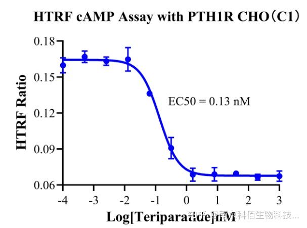 药靶细胞模型---PTH1R的细胞模型 - 知乎