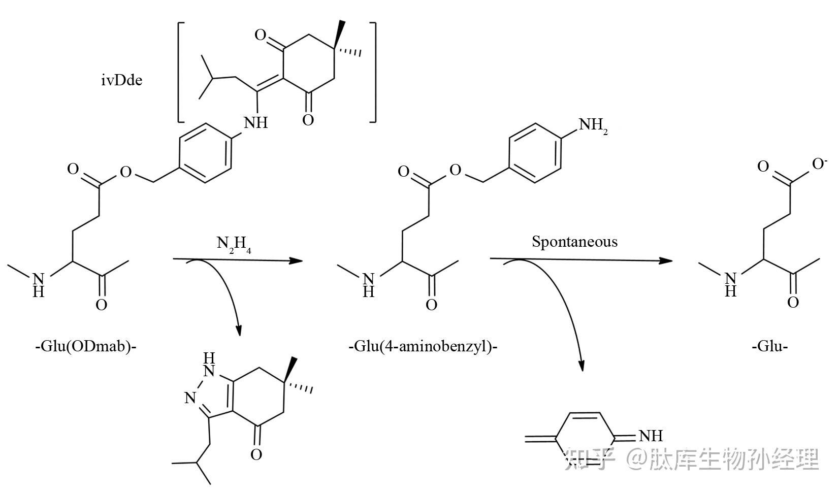 《固相多肽合成中Dmab保护基的脱除研究》 - 知乎