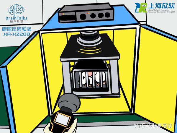 脑声常谈：小鼠前抑制脉冲实验（PPI）的测试方法与指标 - 知乎