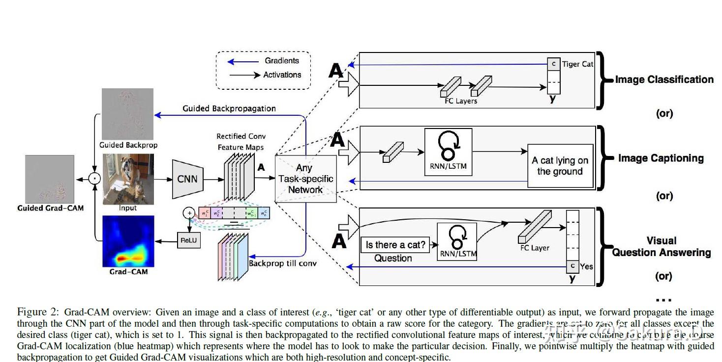 CNN可视化Grad-CAM - 知乎