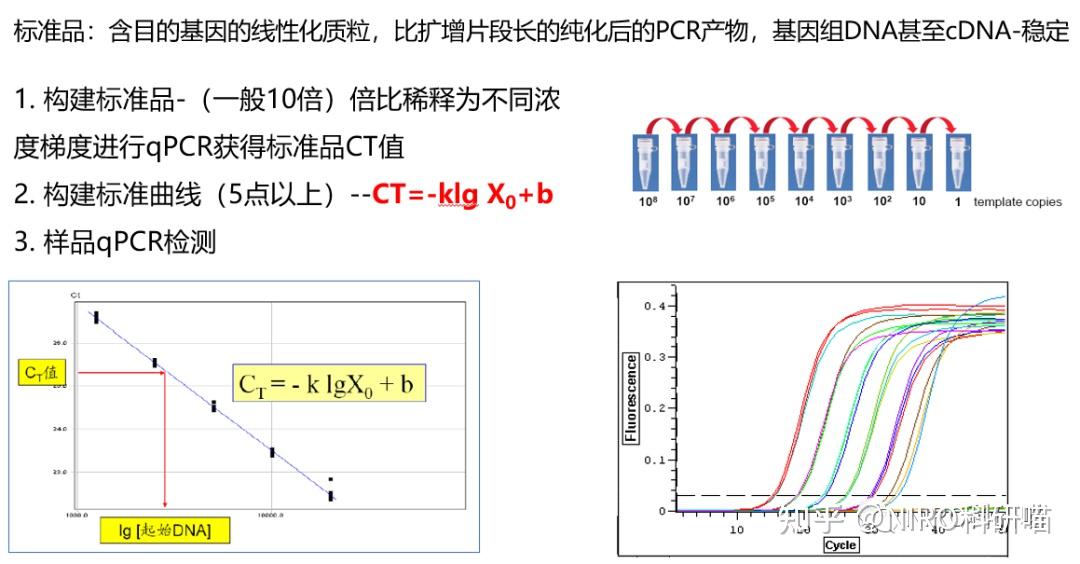 实验技能 | 第六期：qPCR实验你会做吗？qPCR试剂你会选择吗？全网最全教程等你来薅！！！ - 知乎