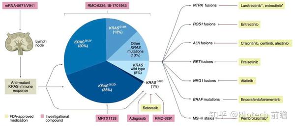 胰腺癌精准靶向治疗及免疫治疗进展 - 知乎