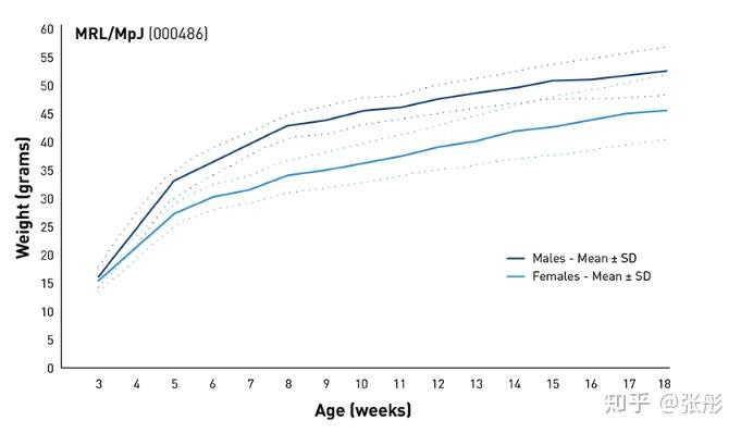 MRL/lpr小鼠 | 自发性红斑狼疮（SLE）模型 - 知乎