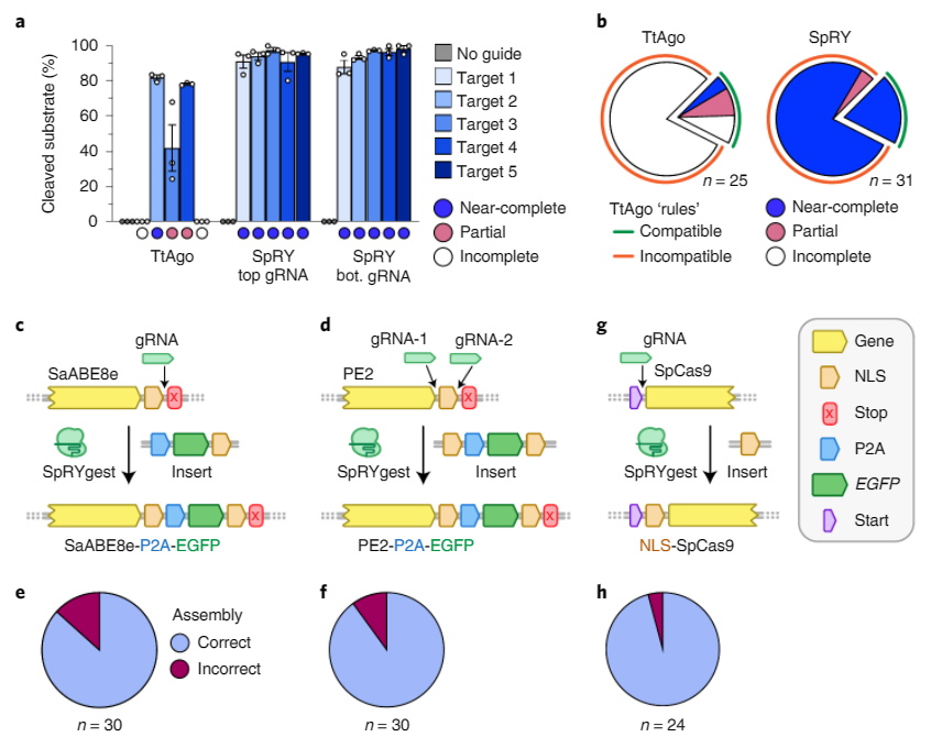Nat Biotech | 新技术可在几乎任何位置切割DNA，取代限制性内切酶 - 知乎