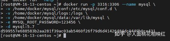 Docker安装mysql5 7 知乎
