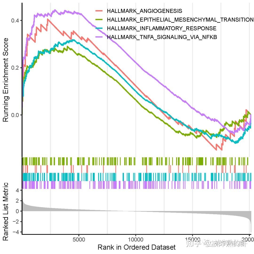 基因集富集分析（GSEA）基础 - 知乎