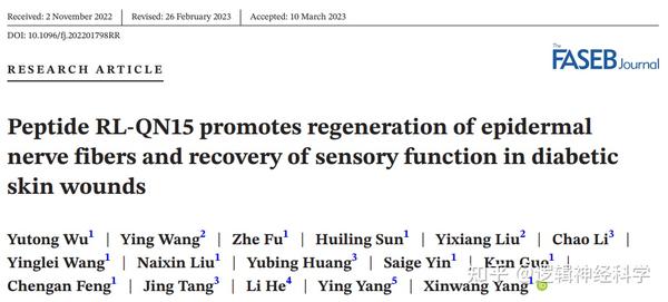 The FASEB Journal︱昆明医科大学杨新旺团队报道活性肽RL-QN15促进糖尿病皮肤伤口表皮神经纤维再生以及感觉功能恢复 - 知乎