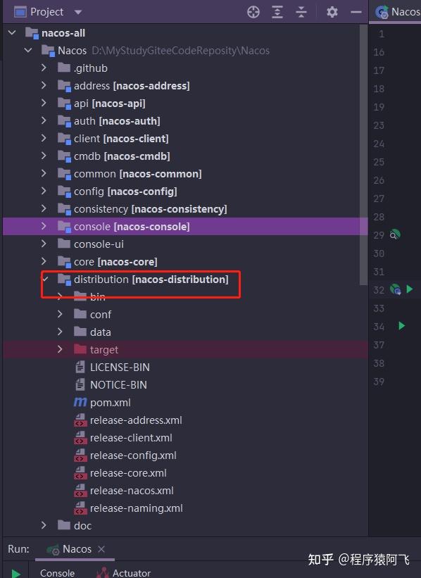 Nacos知识分享：4.源码编译启动遇到的坑 - 知乎