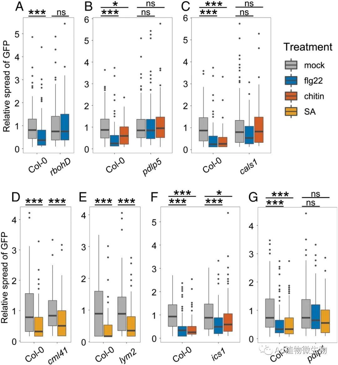 PNAS | 研究揭示植物胞间连丝免疫信号级联的机制！ - 知乎