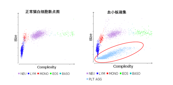 【兽医必读】ProCyte One 动物血细胞分析仪，媲美经典，精准可靠！ - 知乎