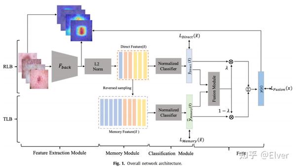 Long-tailed Image classification医学文章总结 - 知乎