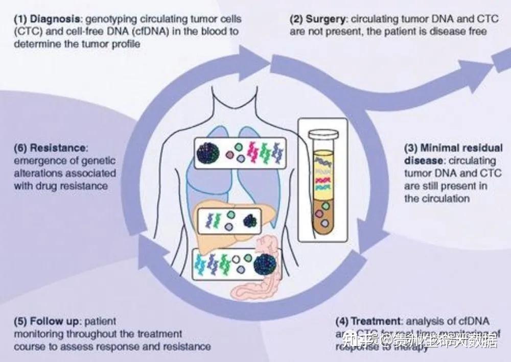 cfDNA—分子检测技术的宠儿 - 知乎