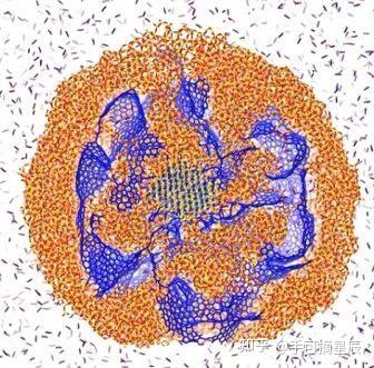 【材料-化学】专题合集：CP2k、gaussian、lammps、reaxff - 知乎
