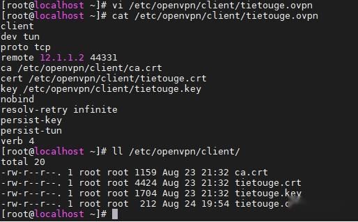 openVPN + VPP = openVPP - 知乎