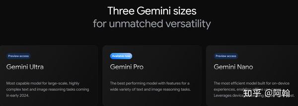 如何通过中文使用Gemini Pro 并获取免费的API key？ - 知乎