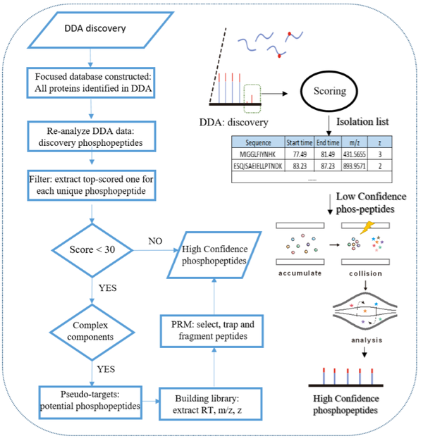 Anal. Chem. | 中科院叶明亮博士PRM技术靶向蛋白质组学分析蛋白复合物蛋白质磷酸化修饰 - 知乎