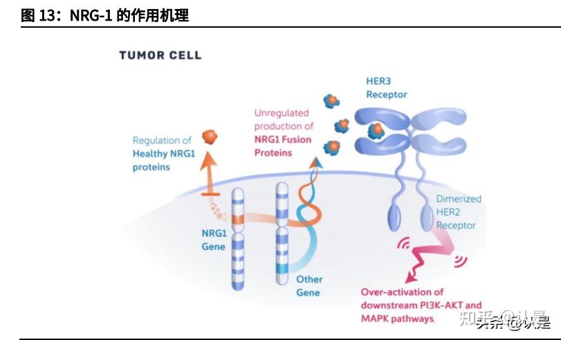 信立泰研究报告：华丽转身，用创新构筑第二增长曲线的慢病龙头 - 知乎