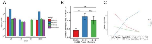 易基因｜细菌全基因组甲基化纳米孔测序(ONT)：技术推介 - 知乎