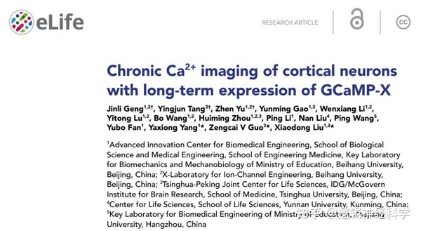 eLife︱刘晓冬/郭增才/樊瑜波-杨亚雄团队利用GCaMP-X实现神经元长时程钙成像 - 知乎