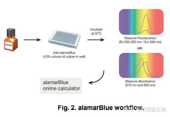 细胞增殖研究中使用alamar Blue的3个理由 - 知乎