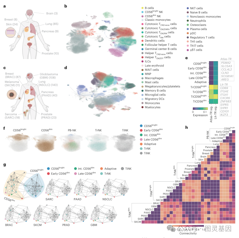 Nat Immu | 破解癌症免疫防线：揭秘肿瘤微环境对NK细胞的作用 - 知乎