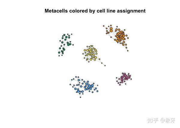 scRNAseq新包速递-SuperCell - 知乎
