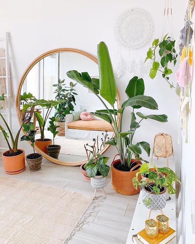 我期待，BOHO风能拯救你无聊的家 - 知乎