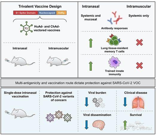 2022年1月&2月Cell期刊精华 - 知乎