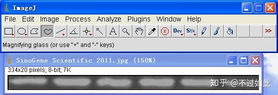 如何用ImageJ进行WB定量？ - 知乎