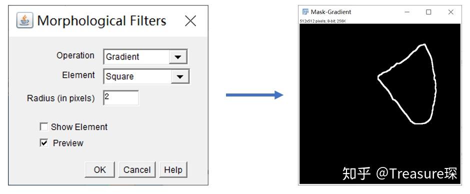 ImageJ实用教程——细胞膜荧光强度检测(定量分析篇) | 斯博利康-细胞生物学液体试剂专家