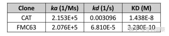 CAR分子设计中亲和力的取舍关键 - 知乎