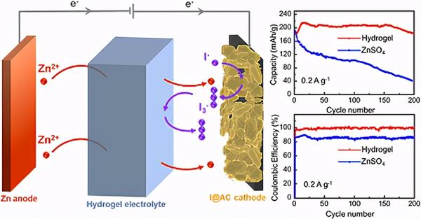 烟台大学康利涛/姜付义《应用材料界面》用藻酸盐基水凝胶电解质建立高性能准固态Zn/I2电池 - 知乎