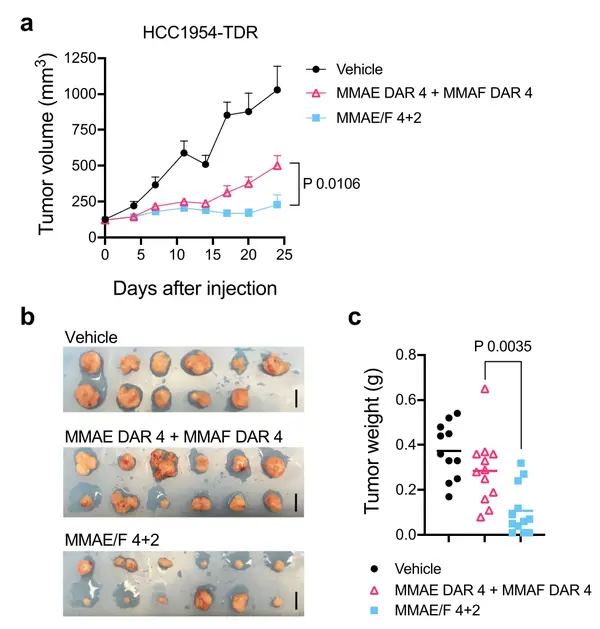 加速迭代，精准控制DAR的双弹头ADC药物 - 知乎