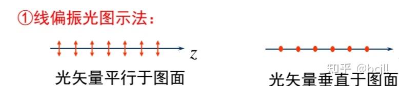 普物光学(光的偏振)知识点总结 - 知乎