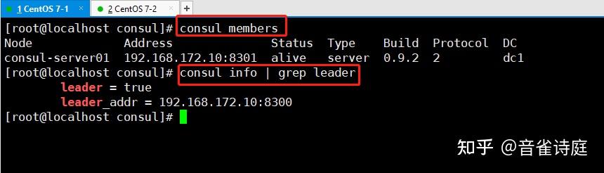 Docker-compose部署【Consul集群】服务自动发现+nginx+consul-template(实现nginx反向代理地址的自动更新) - 知乎