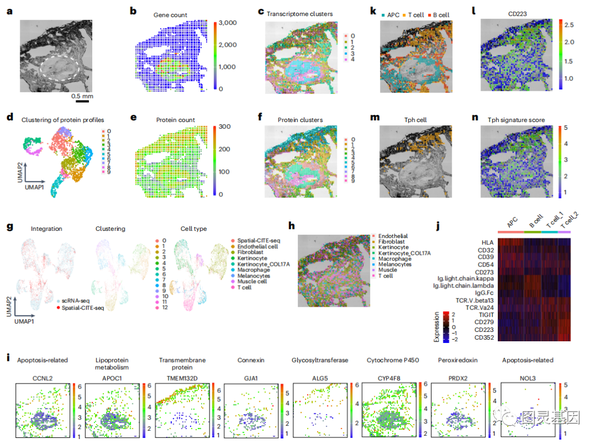 Nat Biotech | CITE-seq技术实现细胞级抗原表位与转录组共定位 - 知乎