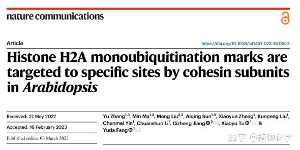 Nature Communications | 上海交通大学农业与生物学院方玉达/涂晓雨团队合作揭示组蛋白H2A通过cohesin靶向进行单泛素化修饰的机制 - 知乎