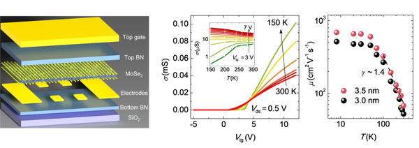 CVT合成生长二维碲（2D-Te） - 知乎