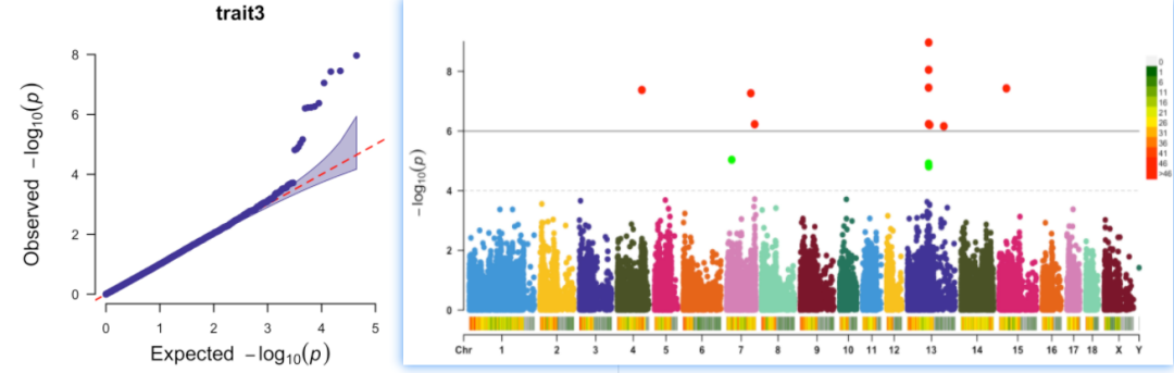 GWAS分析中可视化：qqman和cmplot - 知乎