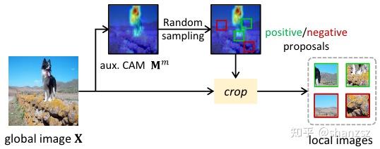 Papers - Token Contrast for Weakly-Supervised Semantic Segmentation - 知乎