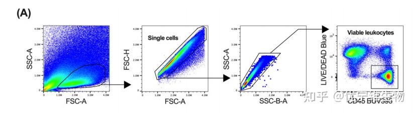 全光谱流式细胞术对小鼠固有淋巴细胞的多参数免疫分型 - 知乎