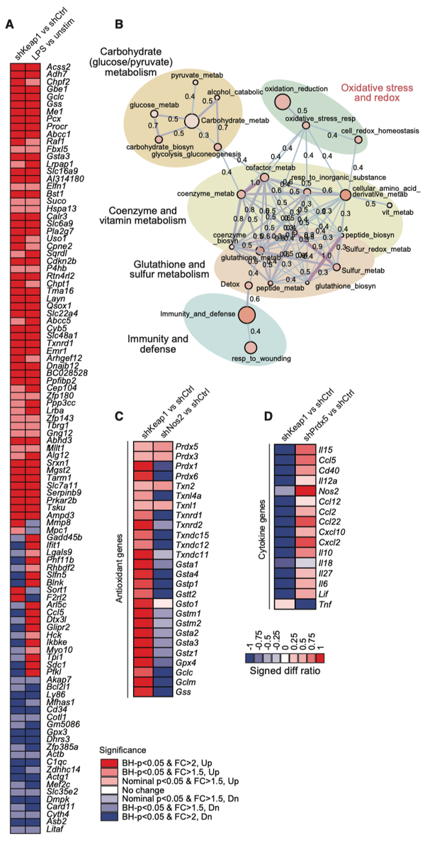 Cell Reports丨一氧化氮在吞噬细胞中参与由Prdx5介导的抗炎反馈回路 - 知乎