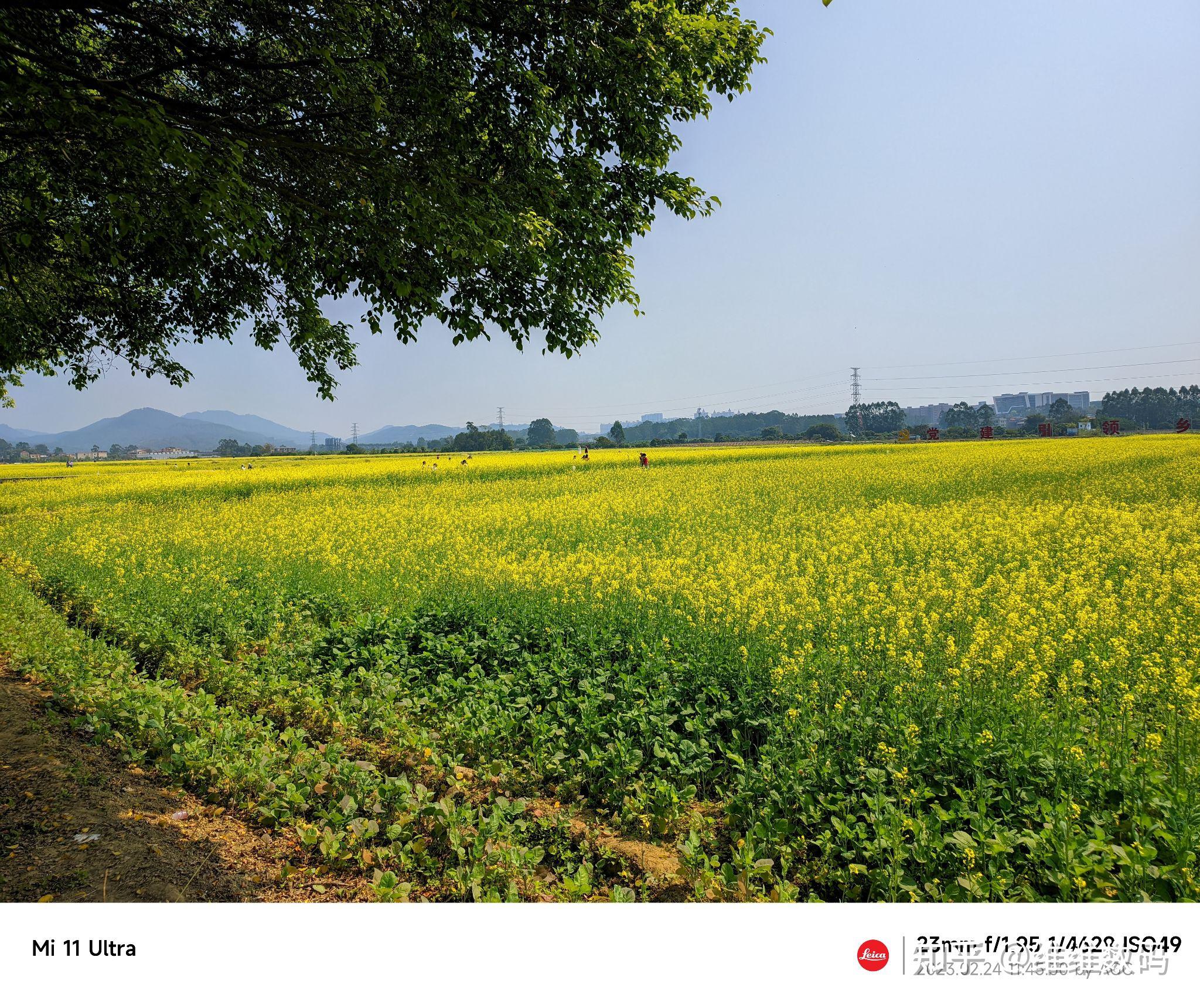 多图慎入！小米11ultra原生相机VS谷歌相机 - 知乎