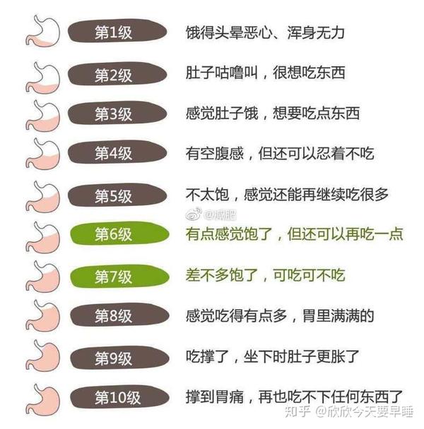 如果判断自己几分饱 知乎