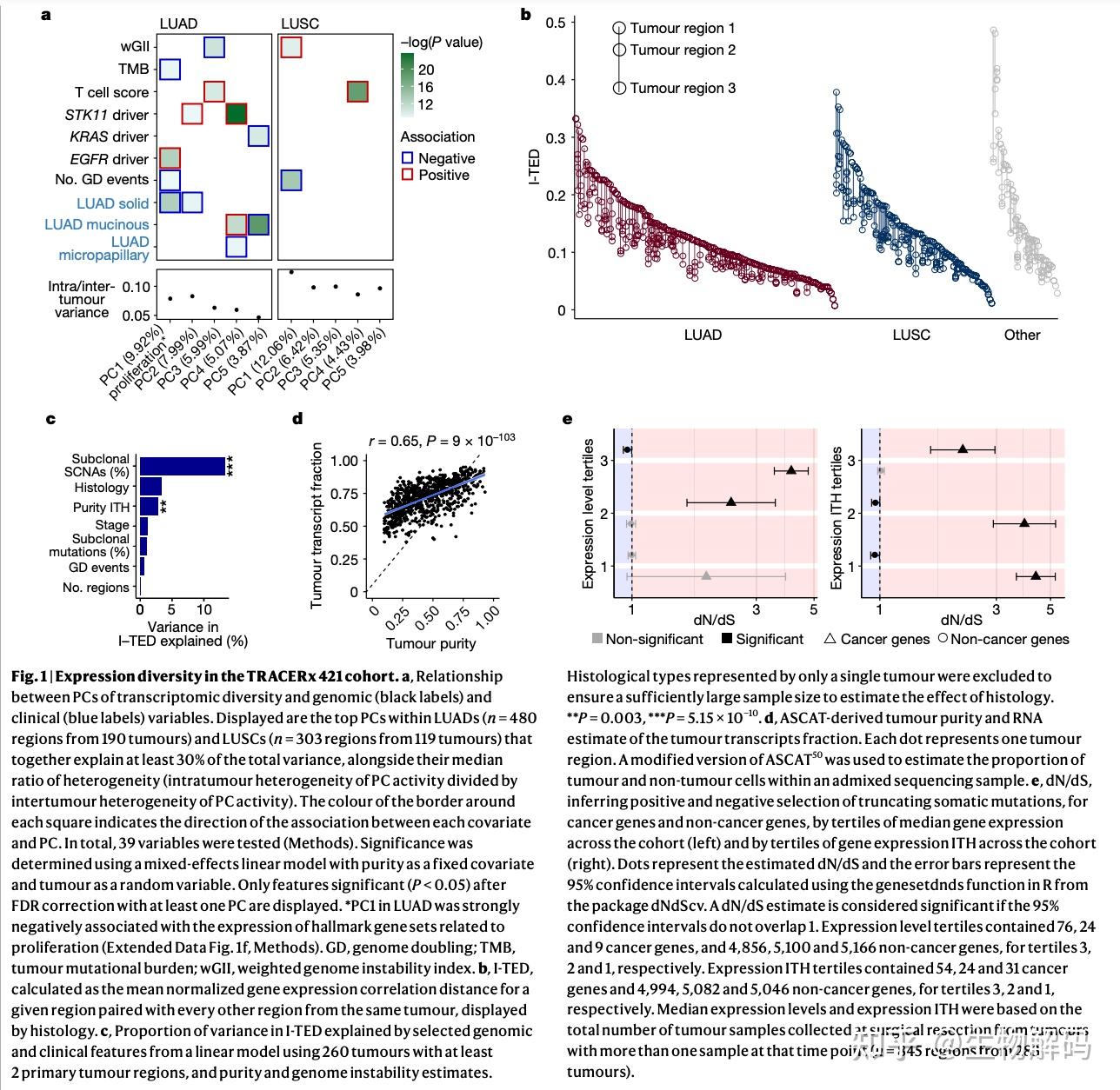 每日文摘 | 2023年04月18日 - 知乎