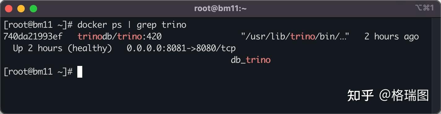 Trino-0001-安装-容器环境 - 知乎